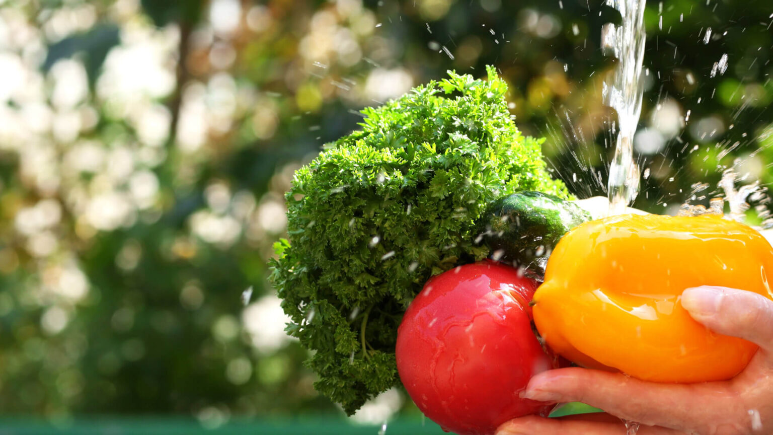 Food Safety and the Four Types of Food Contamination - Assure Safety